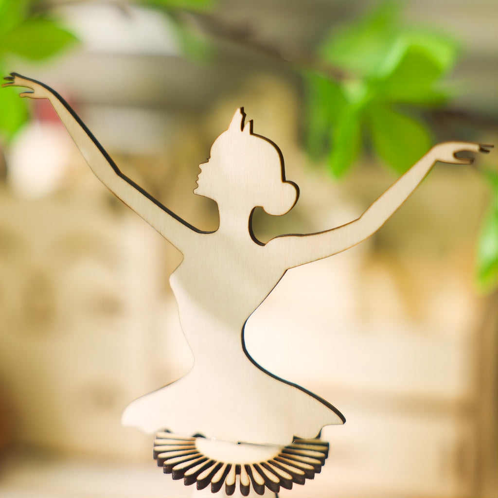 LONGER-RAY5 20W for Home Decor